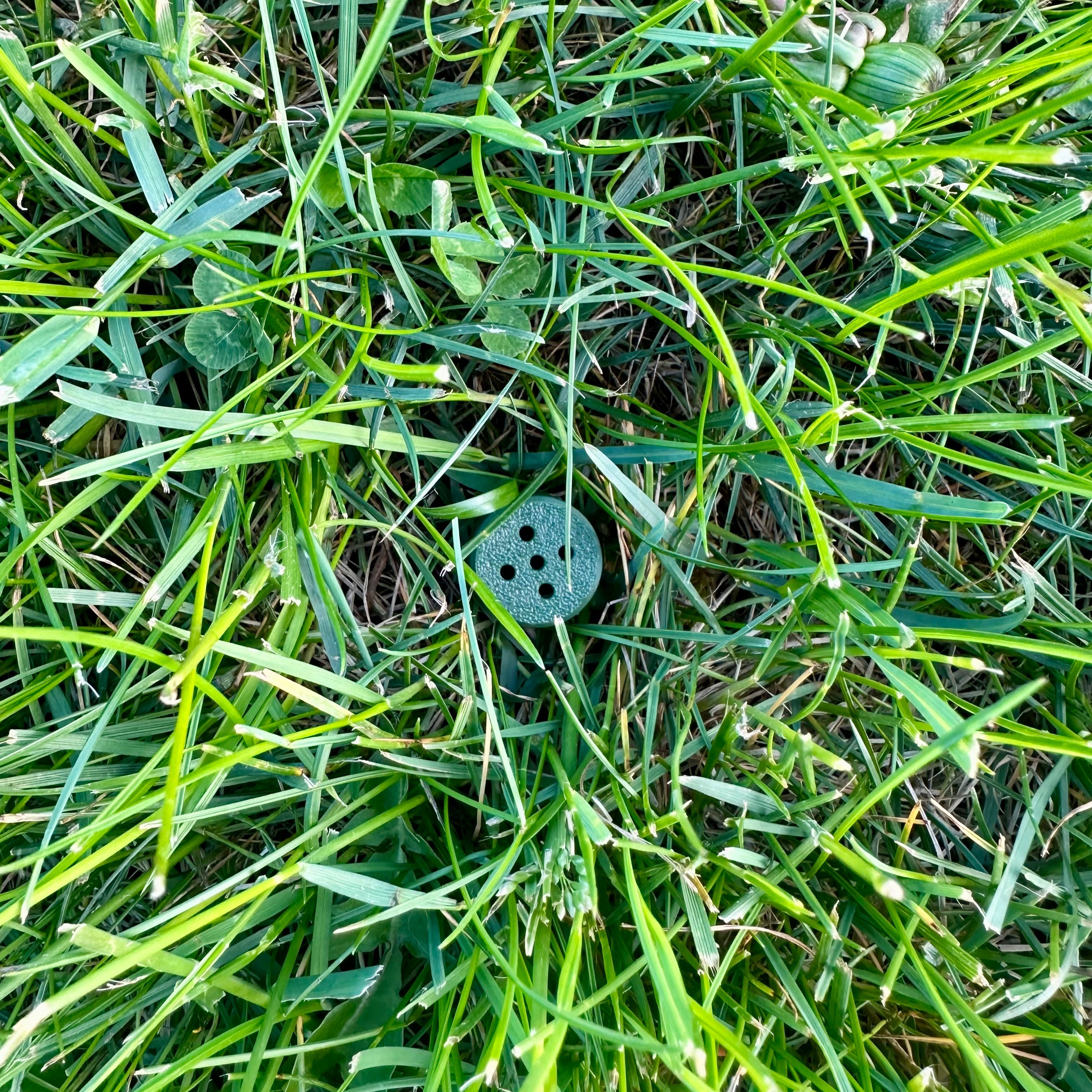 Odour Tees (4 Pack) – Sniffy Prints